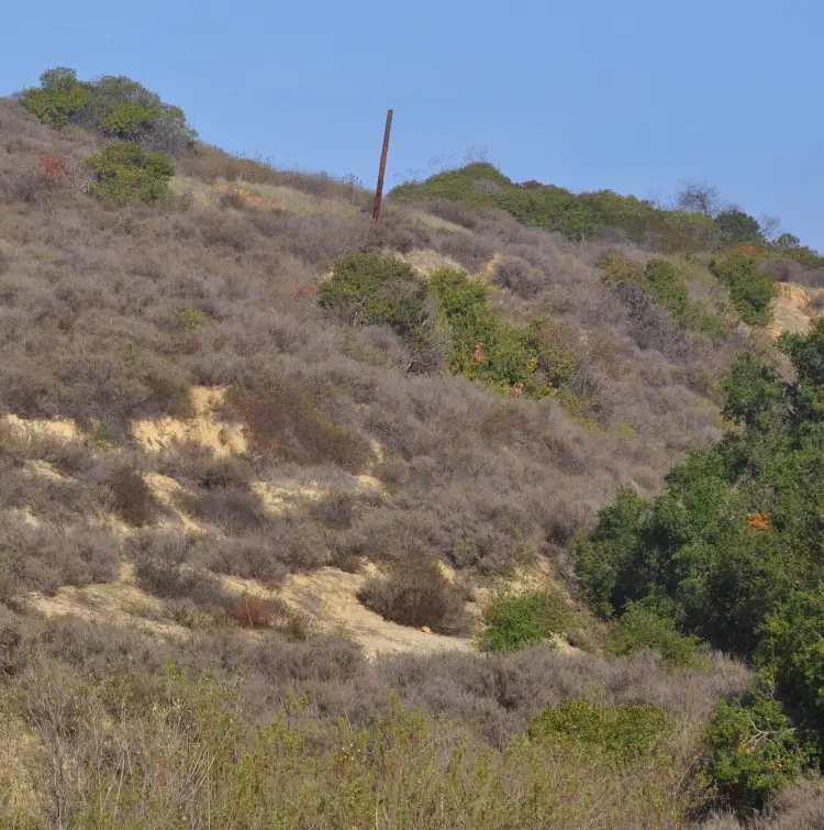 JOURNEY WITH US TO SADDLEBACK PARK: WHAT IT LOOKED LIKE THEN & WHAT IT ...