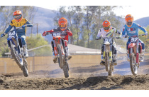 2025 MOTOCROSS ACTION 250 SHOOTOUT: SUZUKI, TRIUMPH, KAWASAKI, HONDA, YAMAHA, GASGAS, HUSQVARNA ...